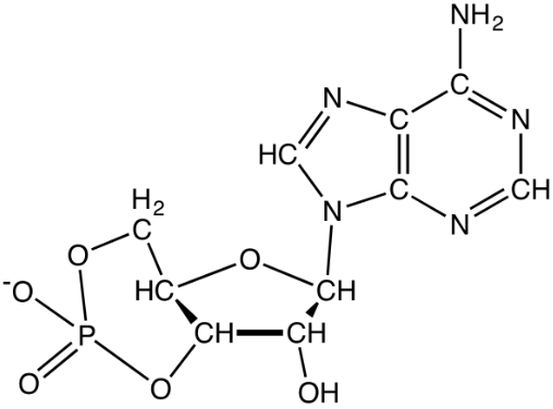 Nucleotide Structure - Biology and Biochemistry for MCAT PDF Download