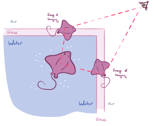 Reflection and Refraction - Physics for MCAT PDF Download