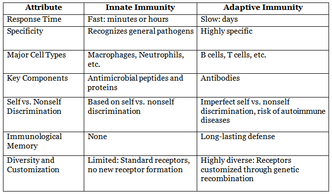 Innate Vs Adaptive Immunity Table