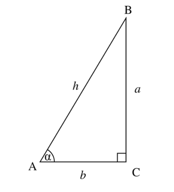 Sine, Cosine and Tangent Basics - Mathematics for Digital SAT PDF Download