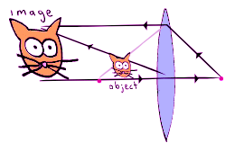 Thin Lenses - Physics for MCAT PDF Download