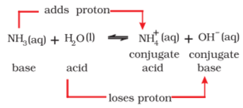 Acids and Bases - Chemistry for ACT PDF Download