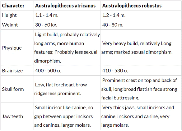 Ramapithecus - 1 - Notes | Study Anthropology for UPSC Optional - UPSC