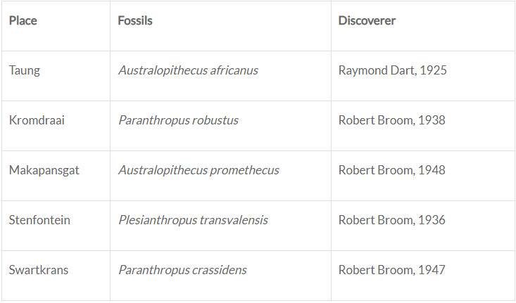 Ramapithecus - 1 - Anthropology Optional for UPSC PDF Download