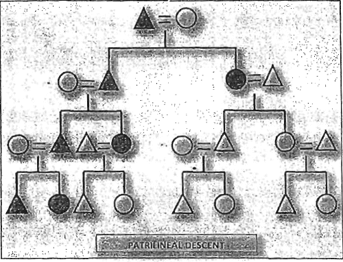 Principles and Types of Descent | Anthropology for UPSC Optional