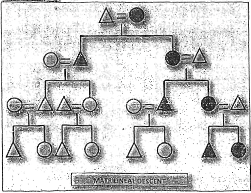 Principles and Types of Descent - Anthropology Optional for UPSC PDF ...