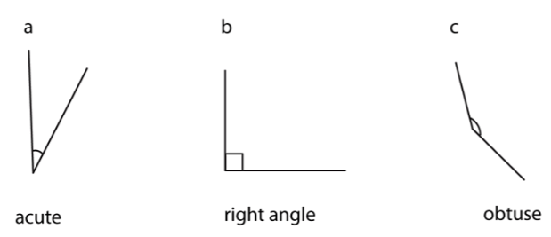 Compare and order angles - Mathematics for Year 5 PDF Download Compare and order angles - Mathematics for Year 5 PDF Download