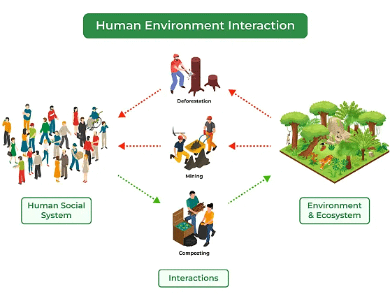 How do humans impact the environment? - Year 4 Science PDF Download
