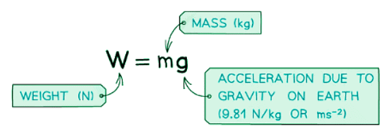 Mass and Weight - Physics for GCSE/IGCSE - Year 11 PDF Download