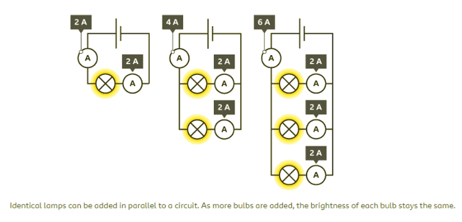 Parallel circuits - Year 7 PDF Download
