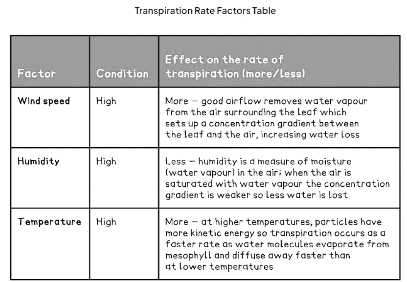 Effects of Temperature, Wind Speed and Humidity - Biology for GCSE ...