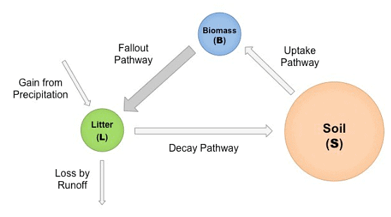 Ecosystem Characteristics - Geography for GCSE/IGCSE - Year 11 PDF Download