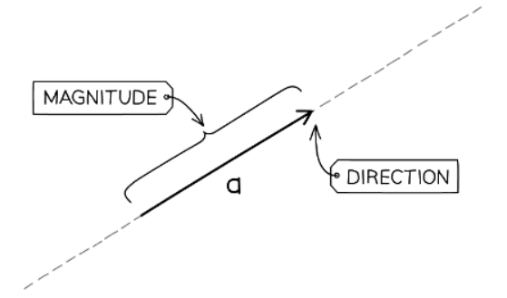Introduction to Vectors - Mathematics for GCSE/IGCSE - Year 11 PDF Download