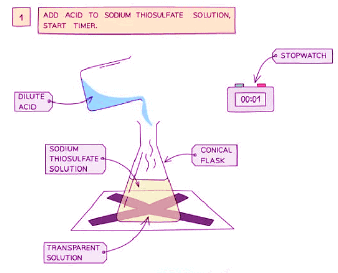 Investigating Rate of a Reaction - Chemistry for Grade 11 (IGCSE) PDF ...