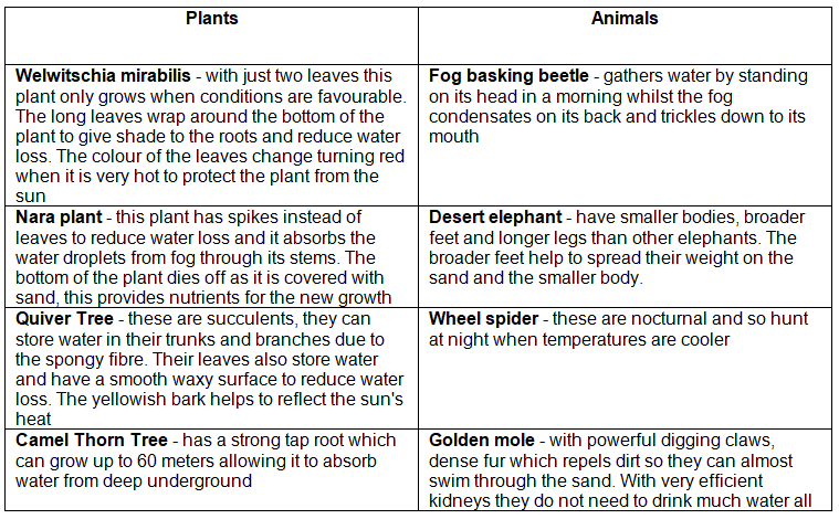 Deforestation of Tropical Rainforest - Geography for GCSE/IGCSE - Year ...