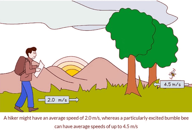 Speed and Velocity - Physics for GCSE/IGCSE - Year 11 PDF Download