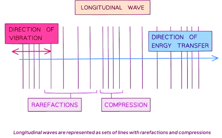 Transverse and Longitudinal Waves - Physics for GCSE/IGCSE - Year 11 ...
