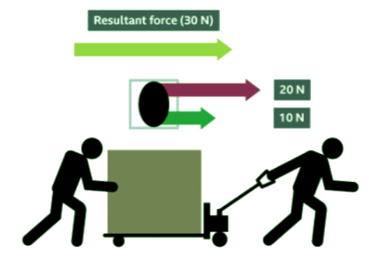 Force Diagrams and Resultant Forces - Year 7 PDF Download