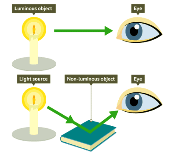 Ray Diagrams and Light Transmission - Year 7 PDF Download