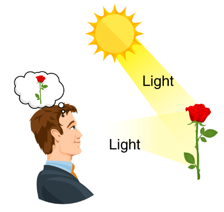 Light - Physics for Year 8 PDF Download