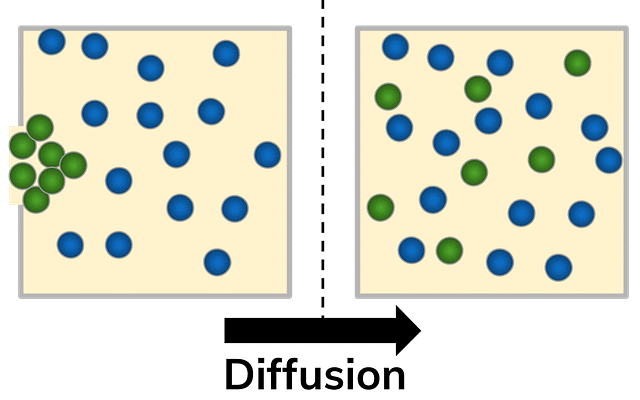 The Role of diffusion - Year 7 PDF Download