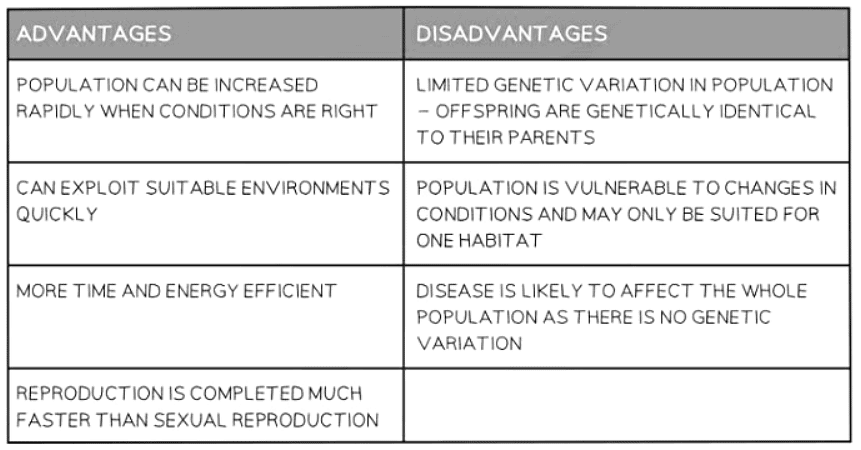 Asexual Reproduction - Biology for GCSE/IGCSE - Year 11 PDF Download