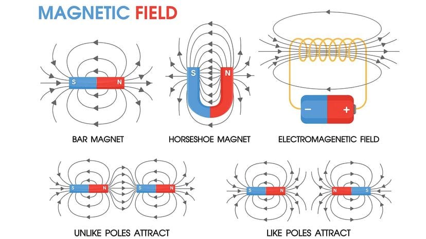 Magnets - Physics for Year 8 PDF Download