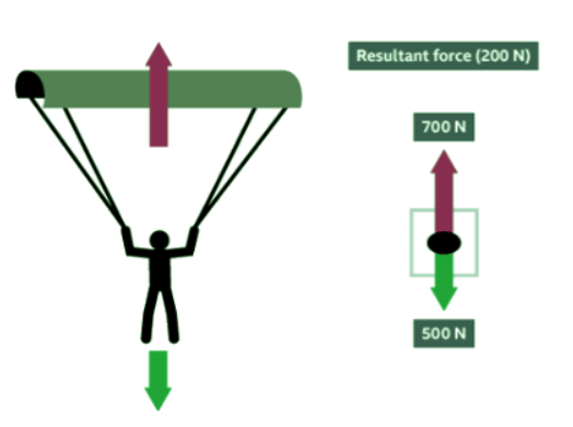 Force Diagrams and Resultant Forces - Year 7 PDF Download
