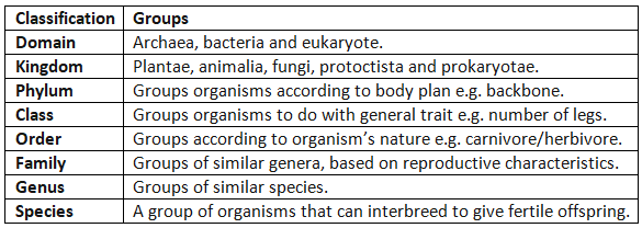 Kingdoms and Classification - Year 7 PDF Download