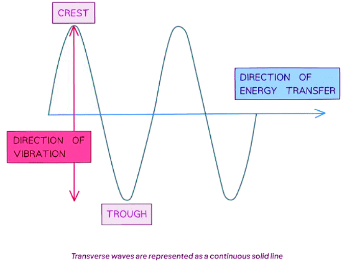 Transverse And Longitudinal Waves Physics For Gcse Igcse Year 11