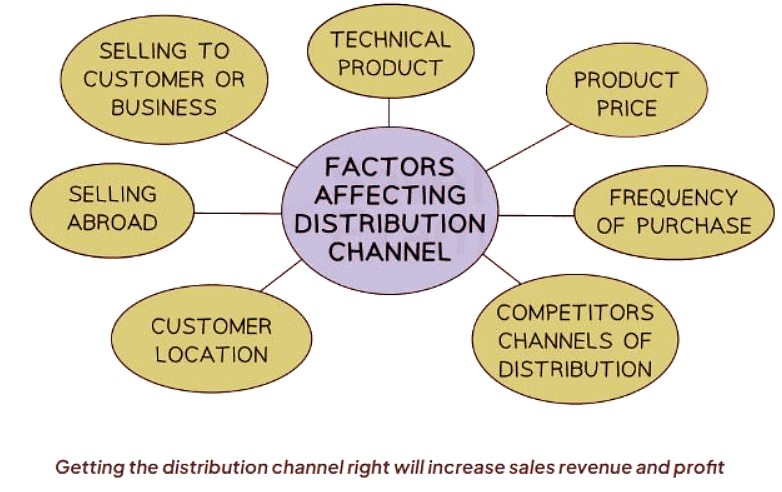 Place: Types of Distribution Channels - Business Studies for GCSE/IGCSE ...