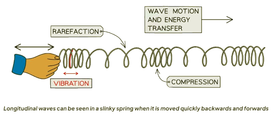 Transverse and Longitudinal Waves - Physics for GCSE/IGCSE - Year 11 ...