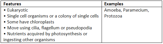 Kingdoms and Classification - Year 7 PDF Download