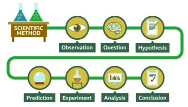 Writing a Hypothesis and Prediction - Year 7 PDF Download