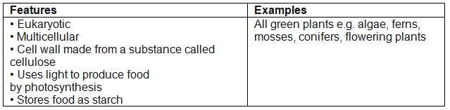 Kingdoms and Classification - Year 7 PDF Download