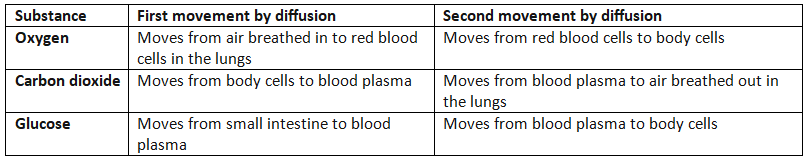 The Role of diffusion - Year 7 PDF Download