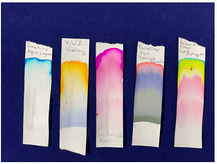 Chromatography - Year 7 PDF Download