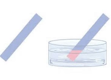 Water: Chemical Tests - Chemistry for Grade 11 (IGCSE) PDF Download