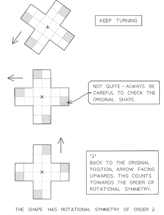 Symmetry - Mathematics for GCSE/IGCSE - Year 11 PDF Download