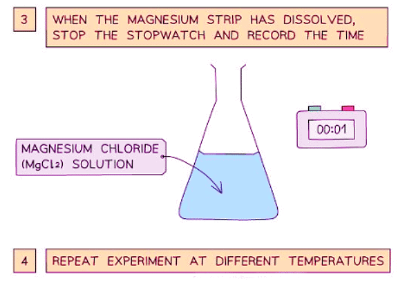 Investigating Rate of a Reaction - Chemistry for Grade 11 (IGCSE) PDF ...