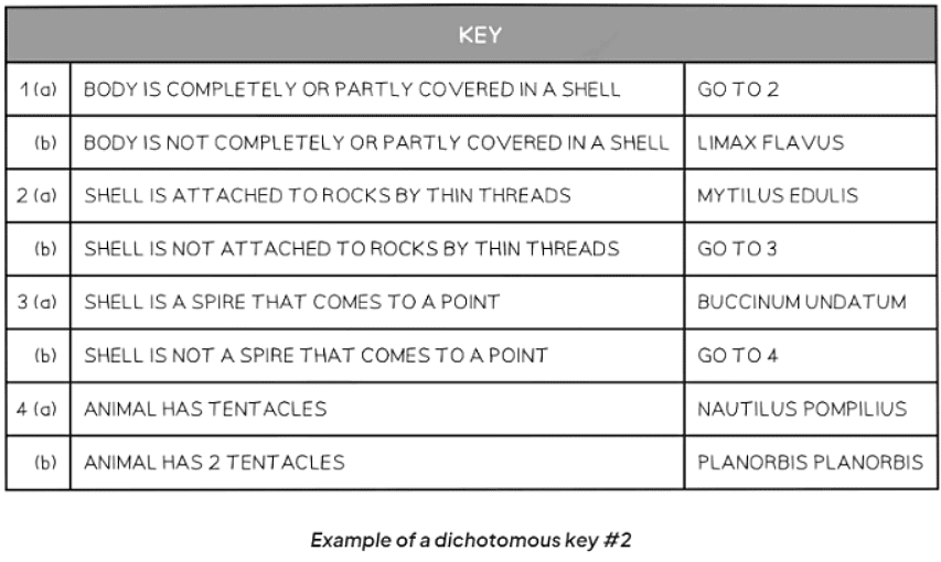 Concept and Uses of Classification Systems - 1 - Biology for GCSE/IGCSE ...