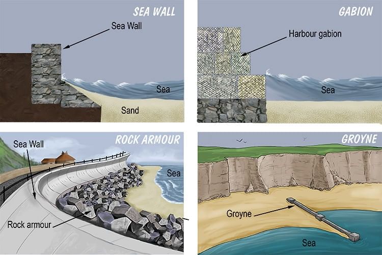 Coastal Management - Year 7 PDF Download