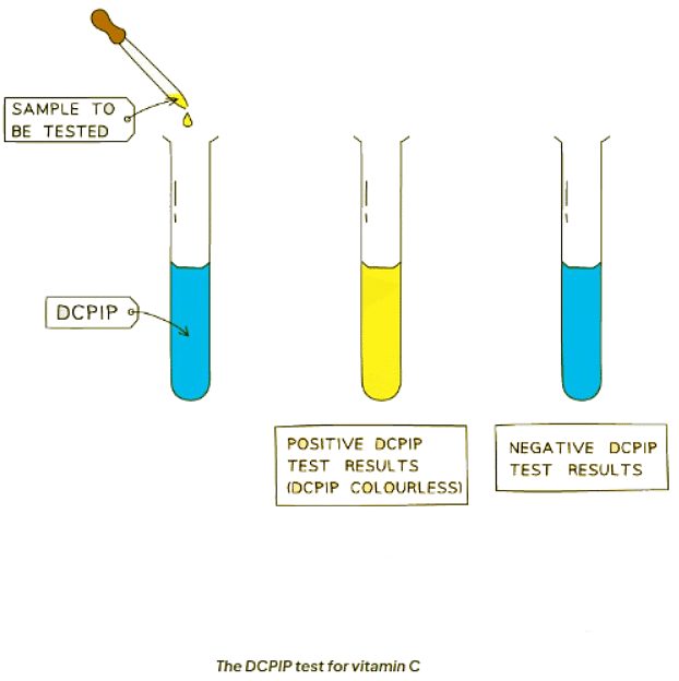 Food Tests - Biology for GCSE/IGCSE - Year 11 PDF Download