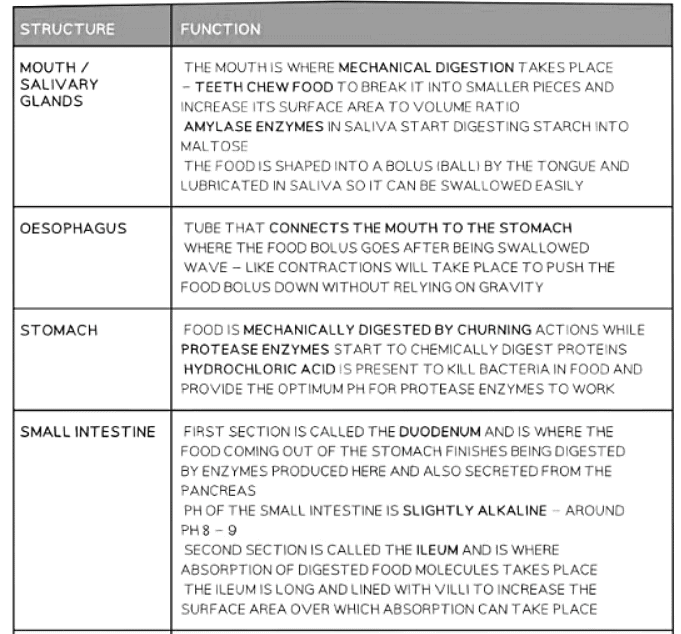 Digestive System - Biology for GCSE/IGCSE - Year 11 PDF Download