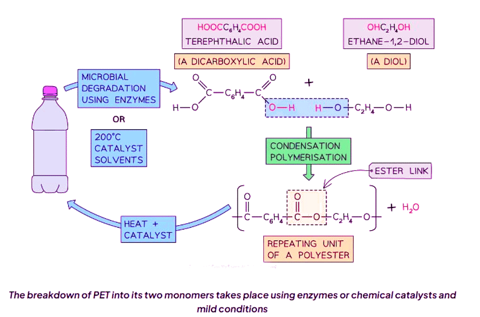 Nylon and PET - Chemistry for Grade 11 (IGCSE) PDF Download