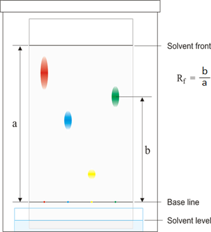 Paper Chromatography Using Locating Agents - Chemistry for Grade 11 ...