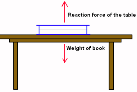 Force Diagrams and Resultant Forces - Year 7 PDF Download