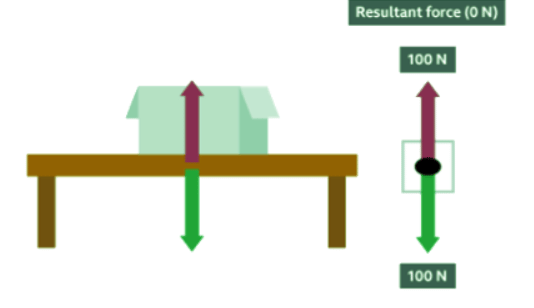 Force Diagrams and Resultant Forces - Year 7 PDF Download