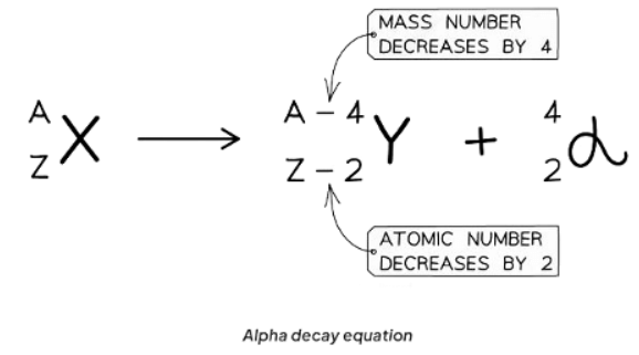 Radioactive Decay - Physics for GCSE/IGCSE - Year 11 PDF Download