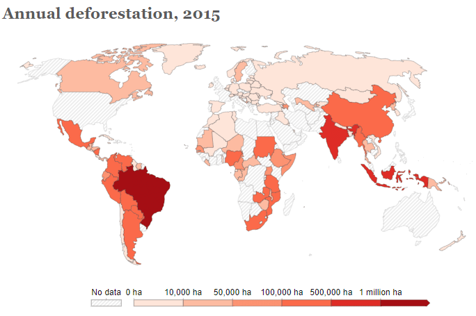 Deforestation of Tropical Rainforest - Geography for GCSE/IGCSE - Year ...